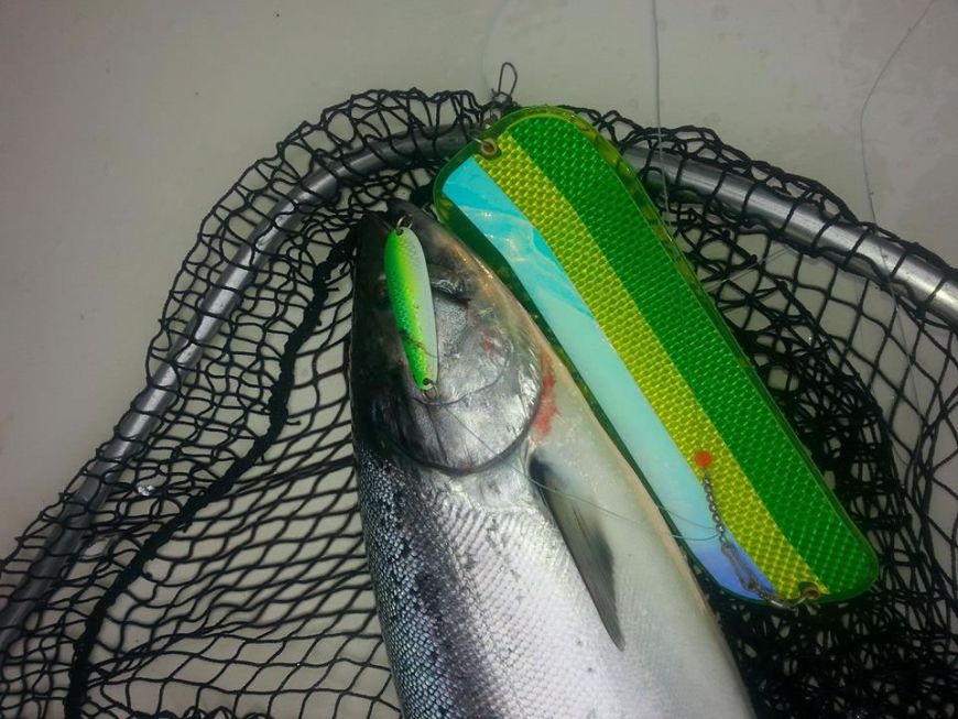 Vancouver Fishing Report! May 06/14 - Bon Chovy Salmon Fishing Charters