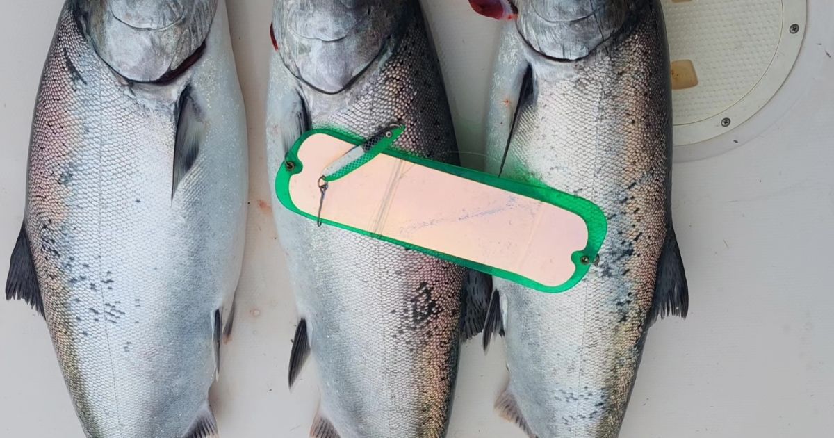 Vancouver and Sidney Fishing Update for Fall 2025